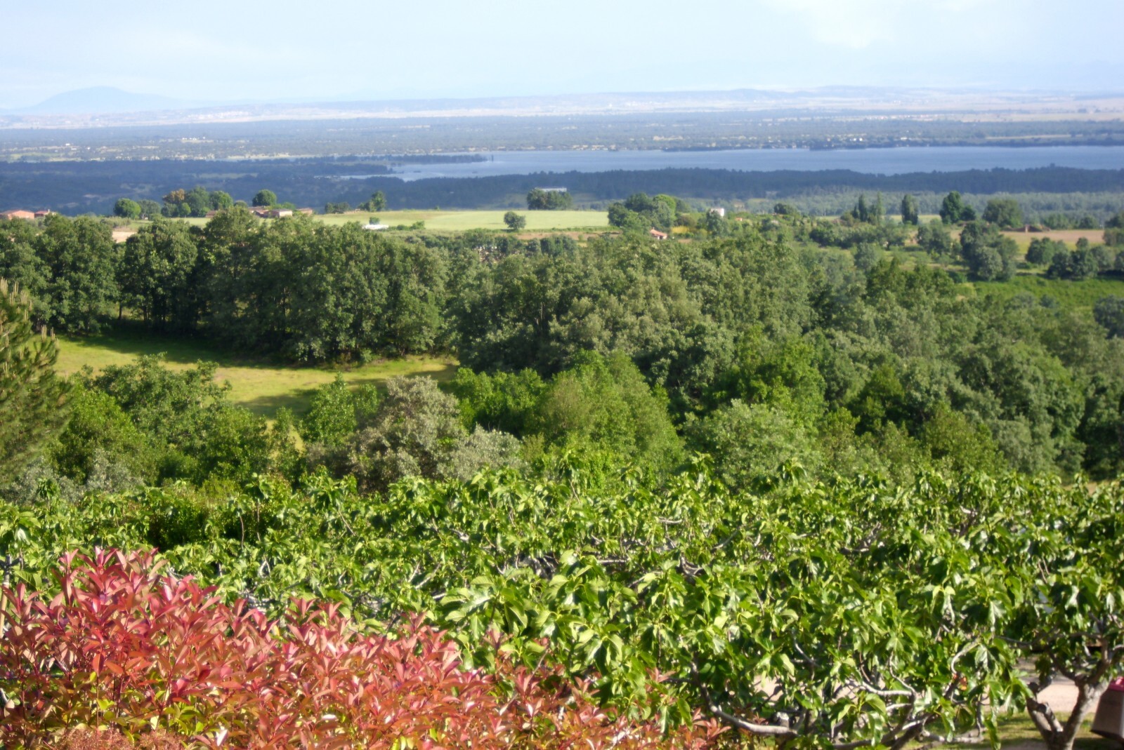 Rondero | El higueral de la sayuela | Casas rurales y apartamentos ...