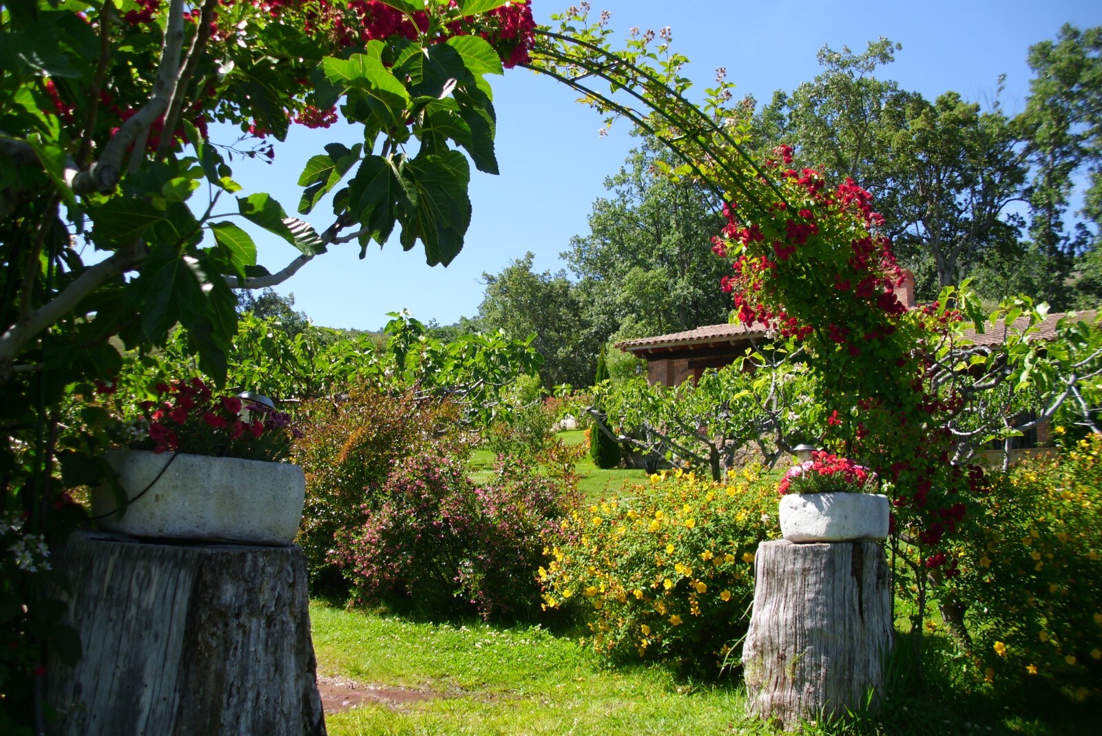 Rondero | El higueral de la sayuela | Casas rurales y apartamentos ...