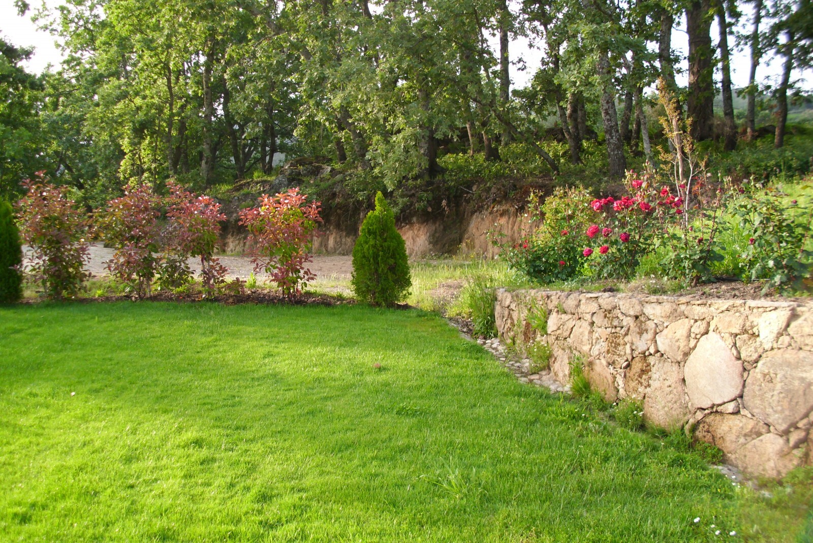 Rondero | El higueral de la sayuela | Casas rurales y apartamentos ...