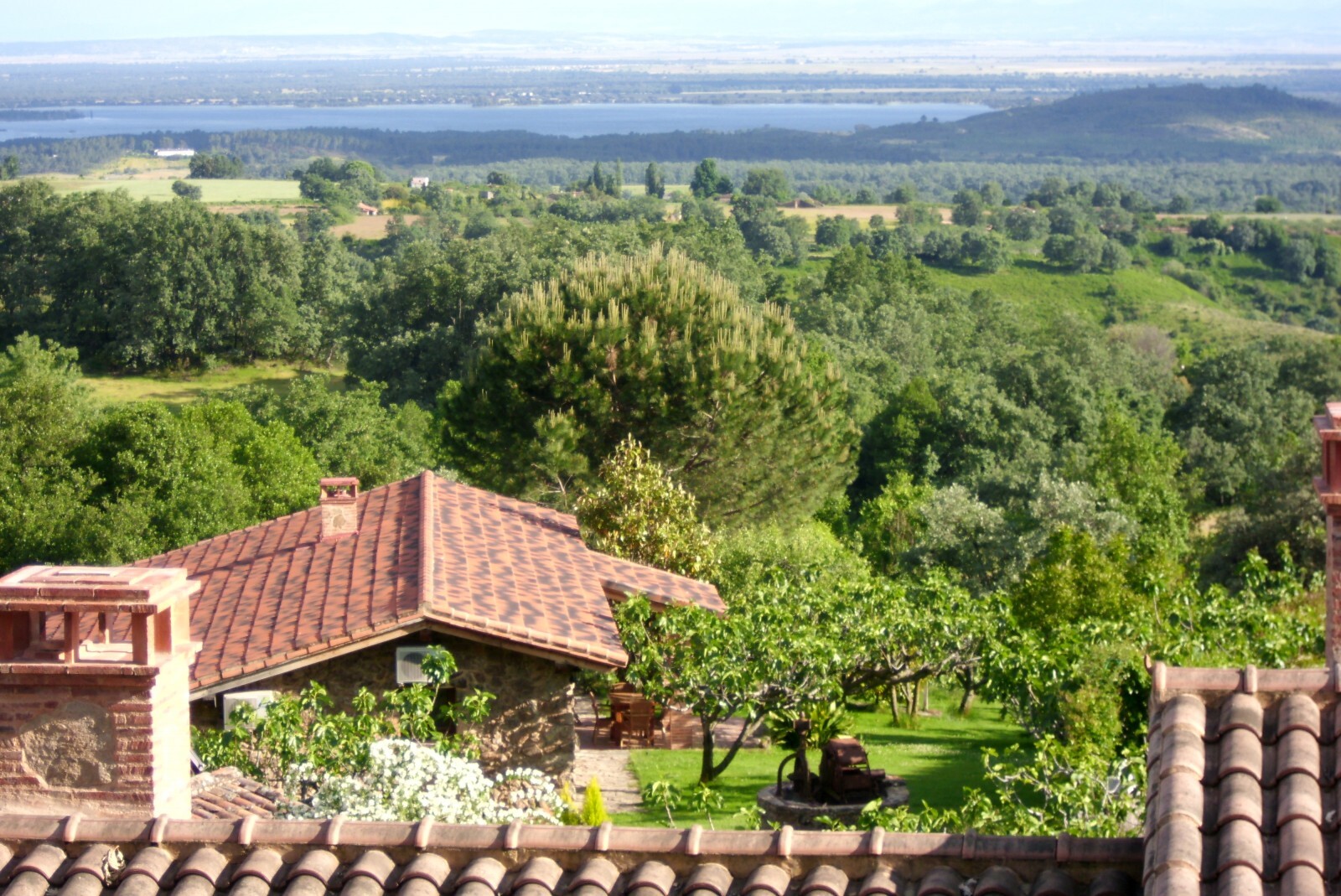 Cuello de Dama | El higueral de la sayuela | Casas rurales y ...