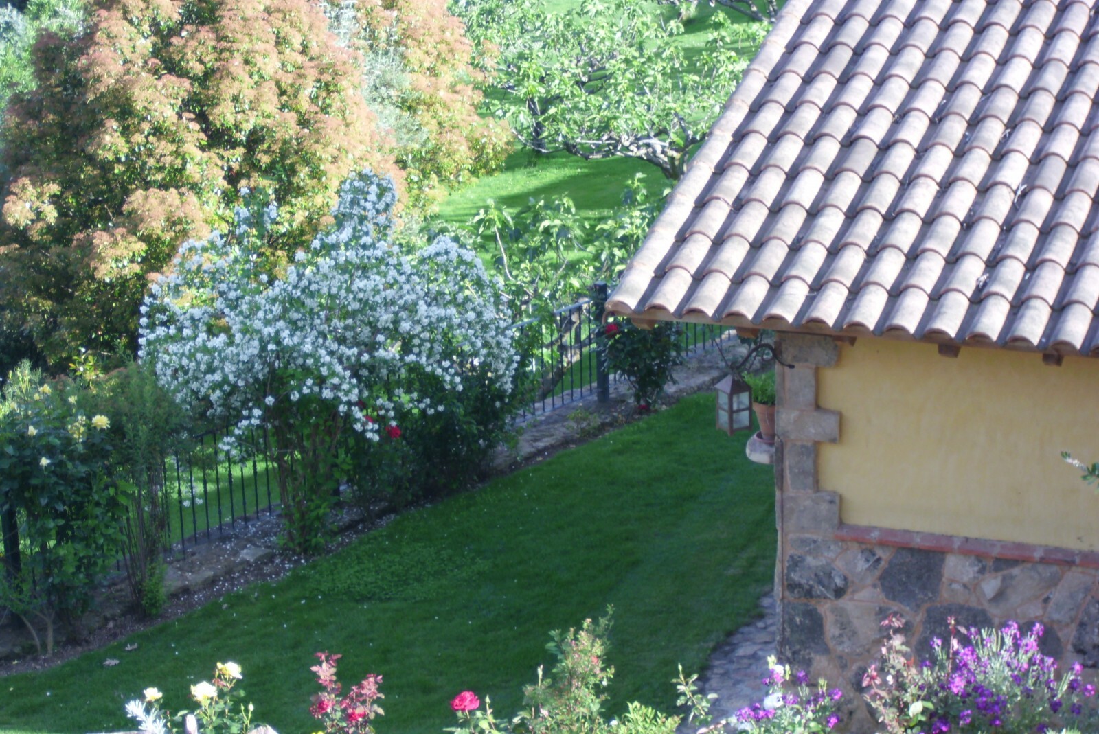 Acebo | El higueral de la sayuela | Casas rurales y apartamentos ...