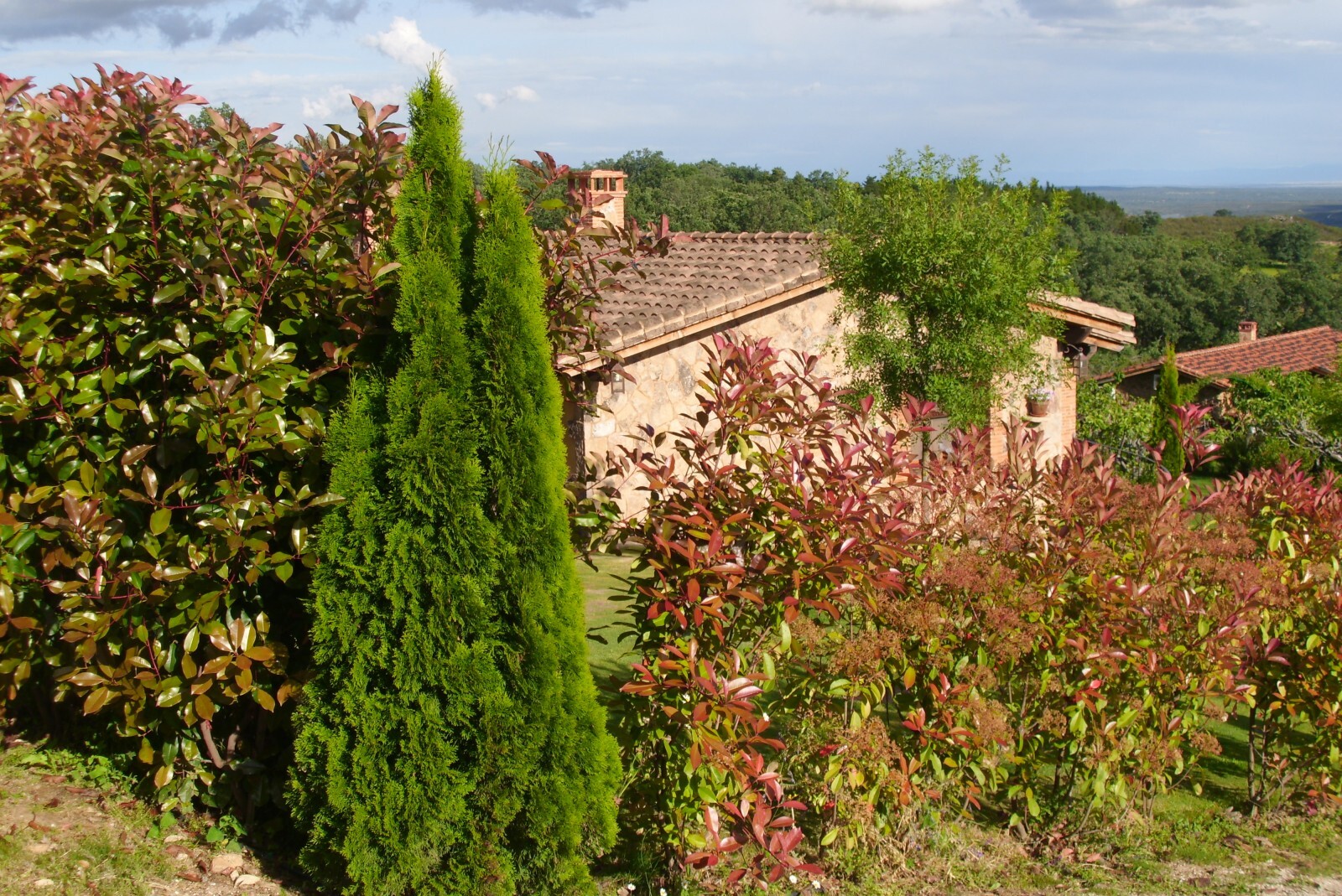 Rondero | El higueral de la sayuela | Casas rurales y apartamentos ...