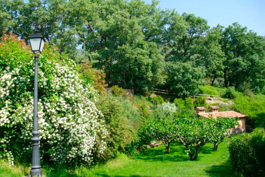 Oñigal | El higueral de la sayuela | Casas rurales y apartamentos ...
